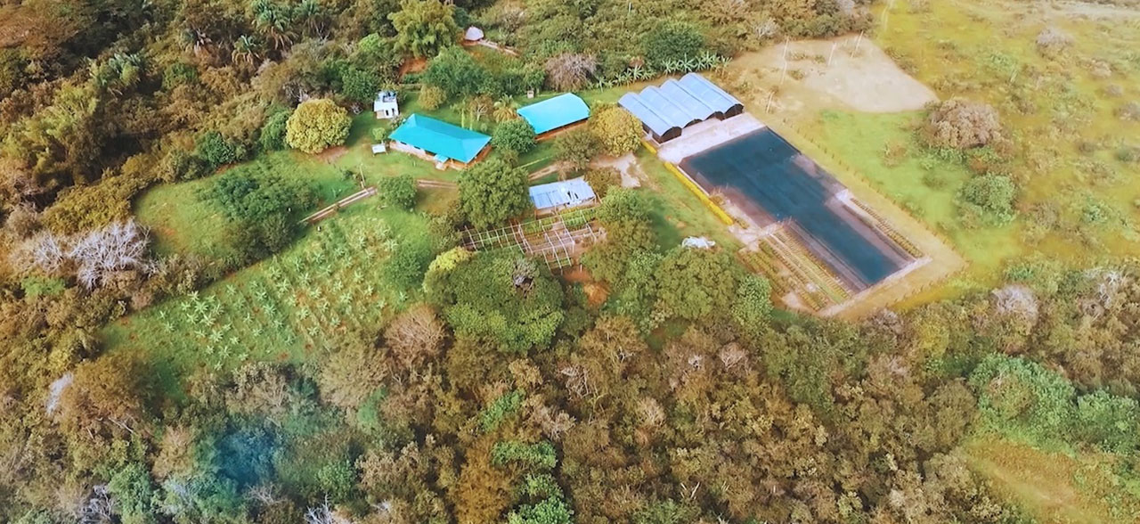 Se reactivan visitas al centro de investigación del Bosque Seco ...