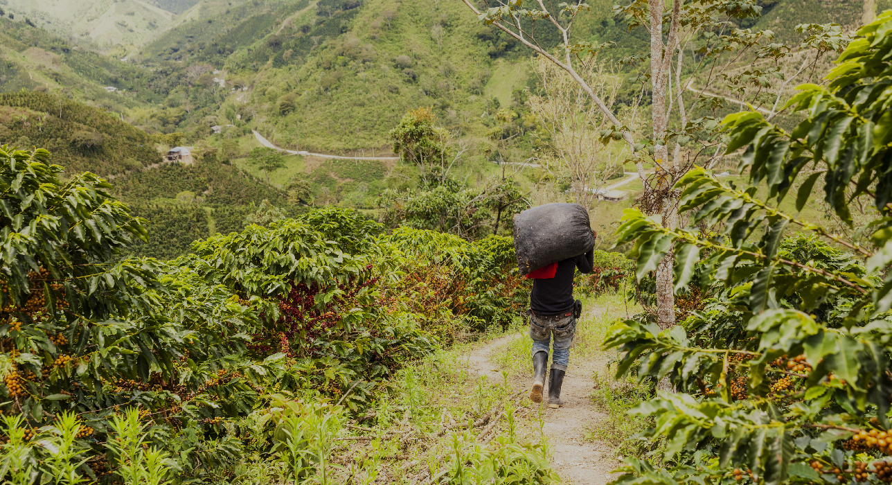 Conoce todo sobre el Grupo Enel Colombia