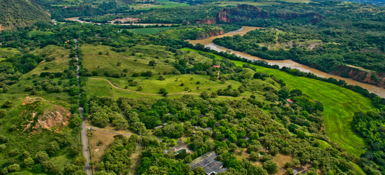 De turismo por el bosque seco tropical de El Quimbo | Enel