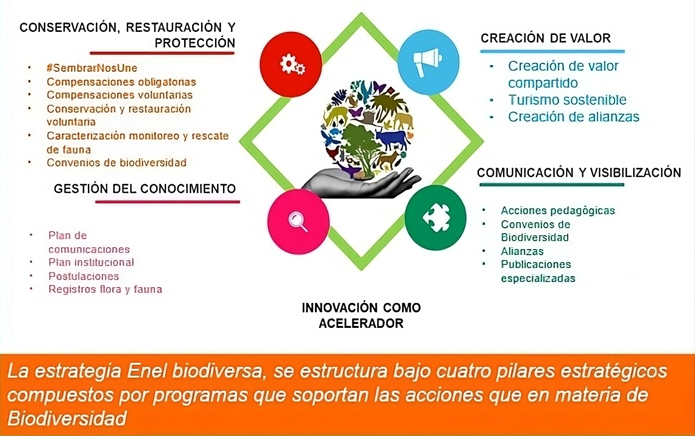 Política Biodiversa - enel.com.co